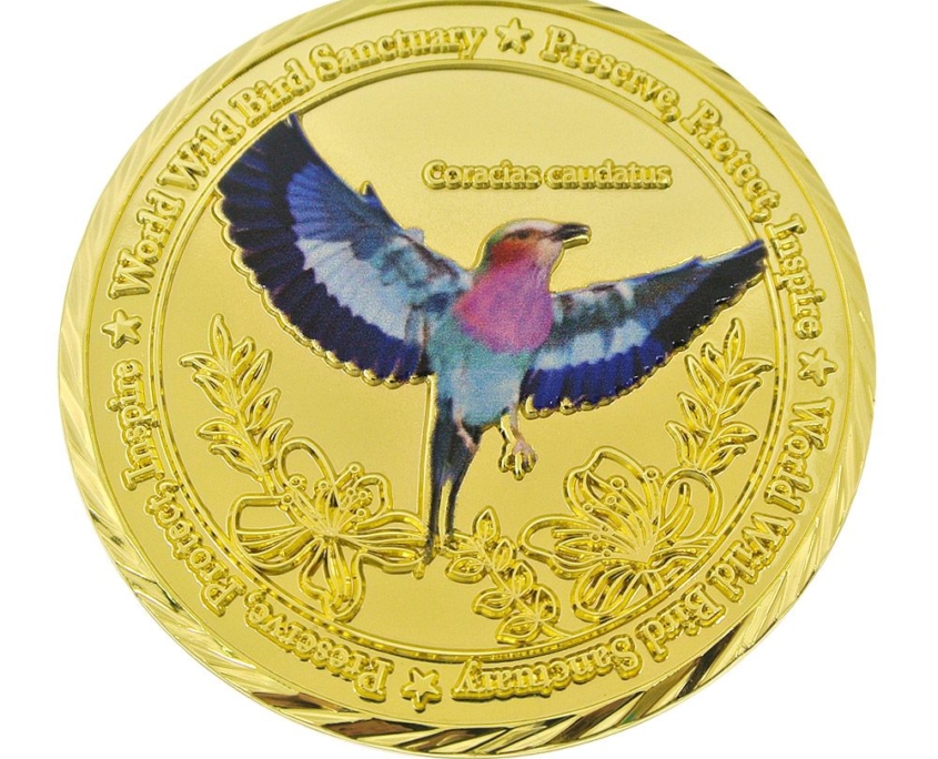 3D Effect Digital Print Lapel Pins | Custom Pin Badges | Jin Sheu
